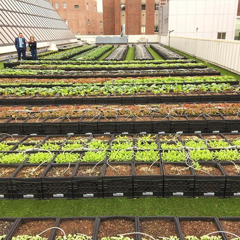 Designing A Food Hub Network for New England - Karen Karp & Partners ...