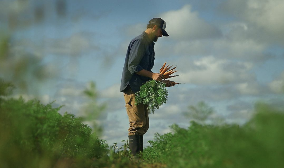 KK&P Works With The John Merck Fund to Create a Resilient New England ...
