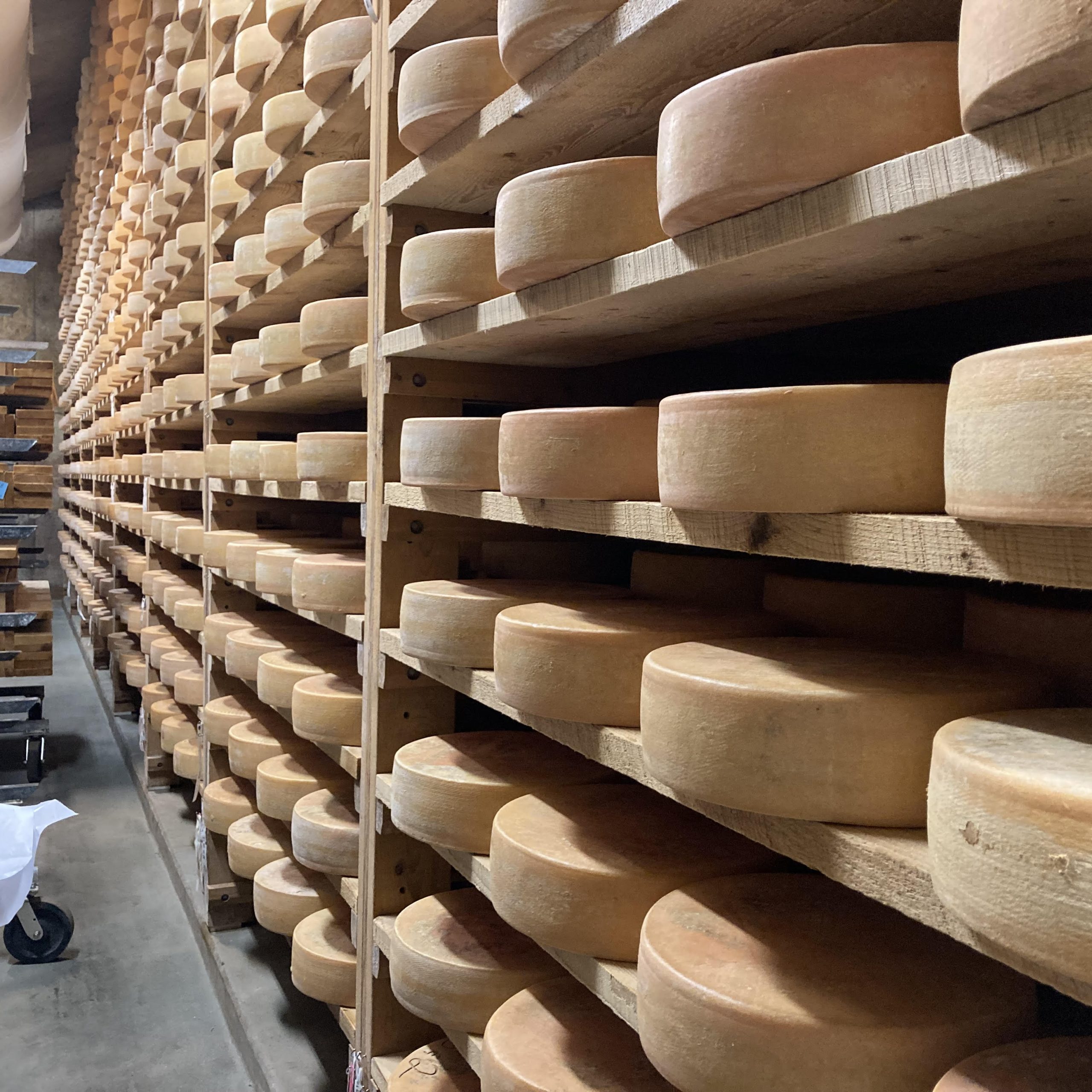 Say Cheese! KK&P Charts a Path Forward for Small and Mid-size Dairy ...